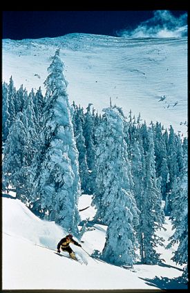 Arizona Snowbowl Ski Resort Guide, Location Map & Arizona Snowbowl ski ...