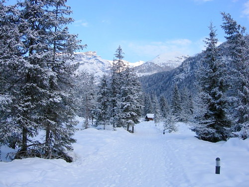 Champoluc Ski Resort Guide | Snow-Forecast.com