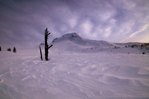 Timberline Ski Resort Guide | Snow-Forecast.com