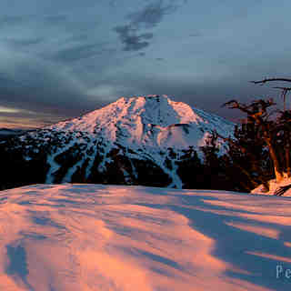 Mt Bachelor Piste Map / Trail Map