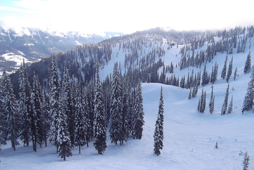 Fernie Ski Resort Guide | Snow-Forecast.com