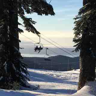 Cypress Mountain Piste Map / Trail Map