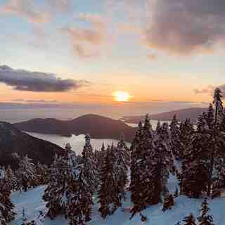 Visitor reviews of Cypress Mountain Ski Resort for Skiing ...