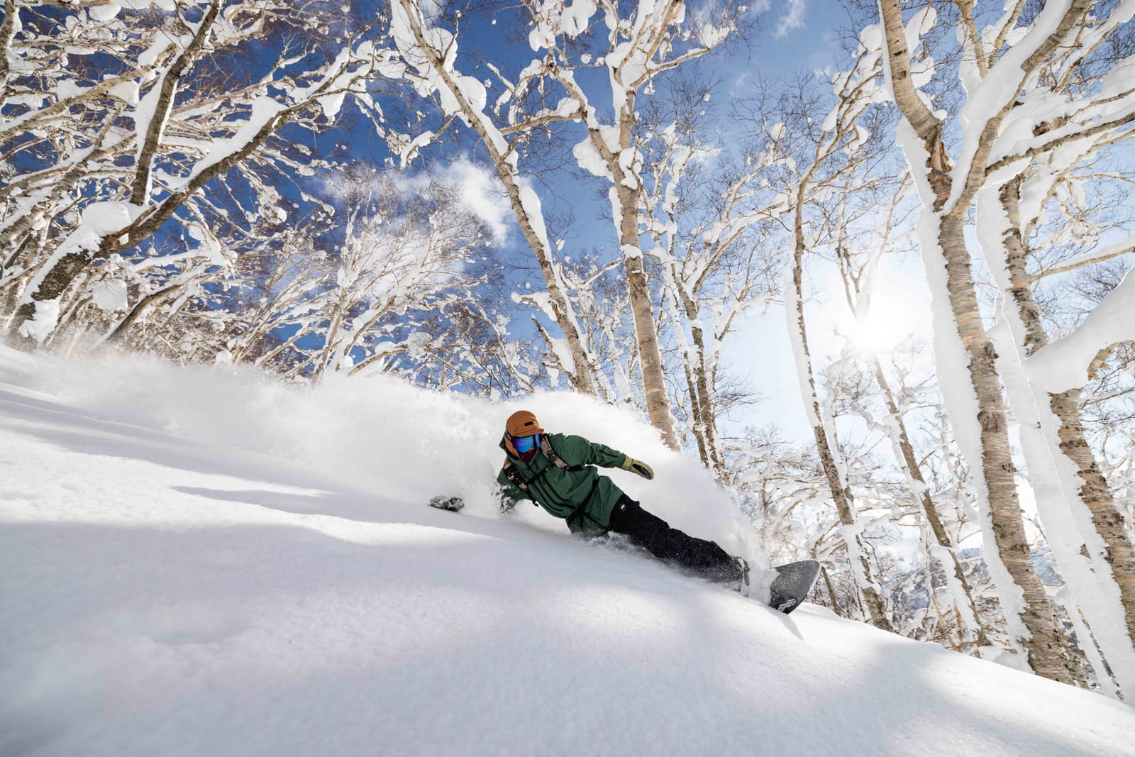 Japan Weekly Snow Roundup #292