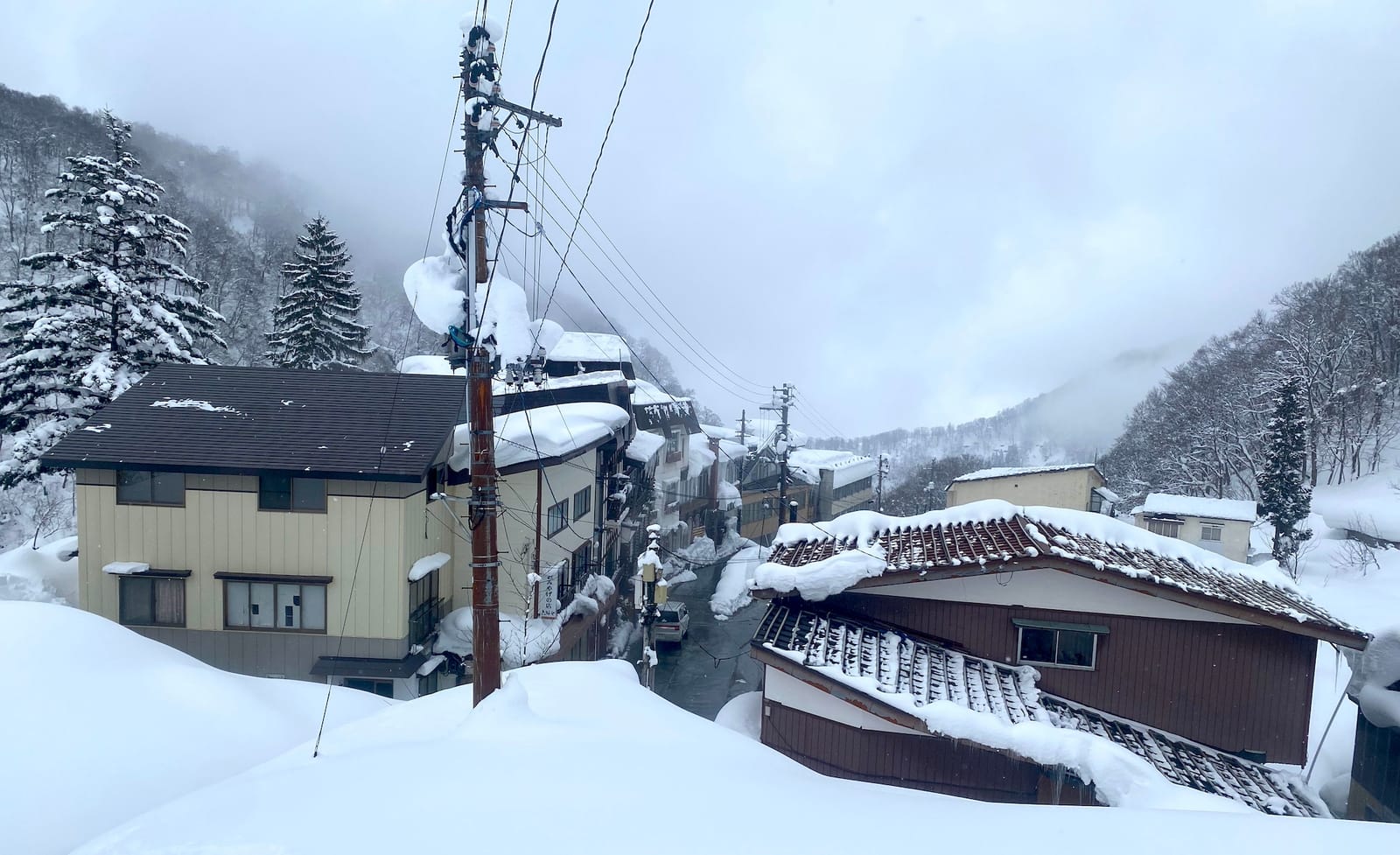 Tsubame Highland Lodge - Staying at the Wild Side of Myoko