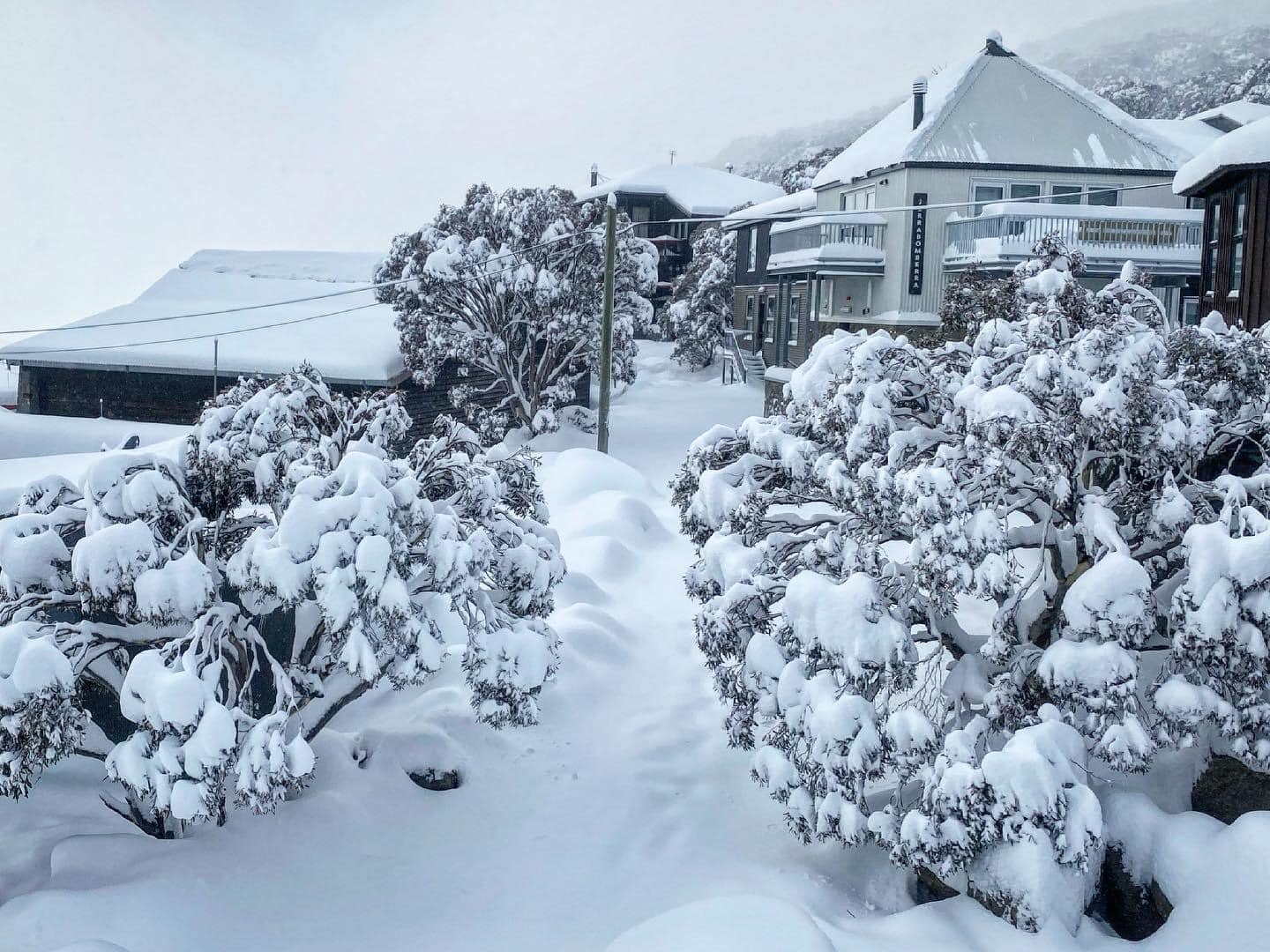 Huge Snowfalls For Australia’s 2021 Season Start